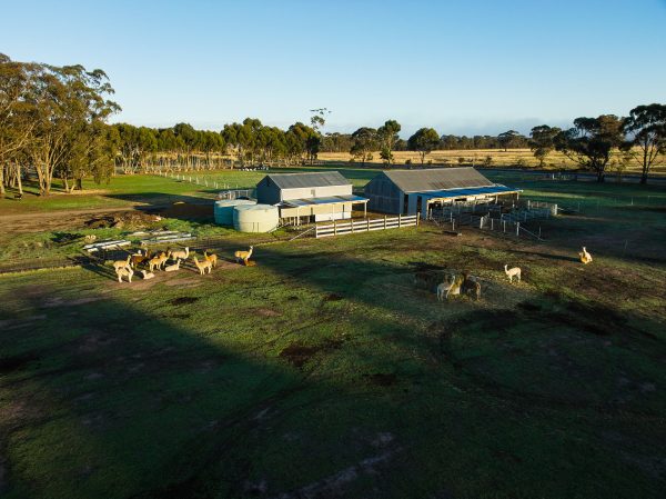 Home - Rosehaven Farms